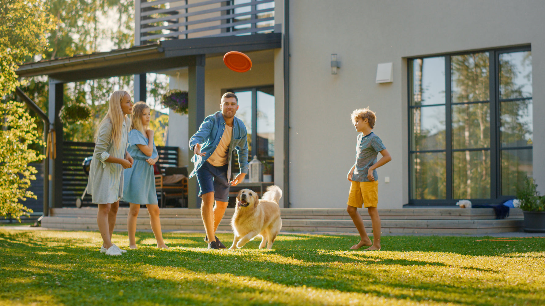 Dogs Domain.com.au Home for online shopping for dogs, pets products ...